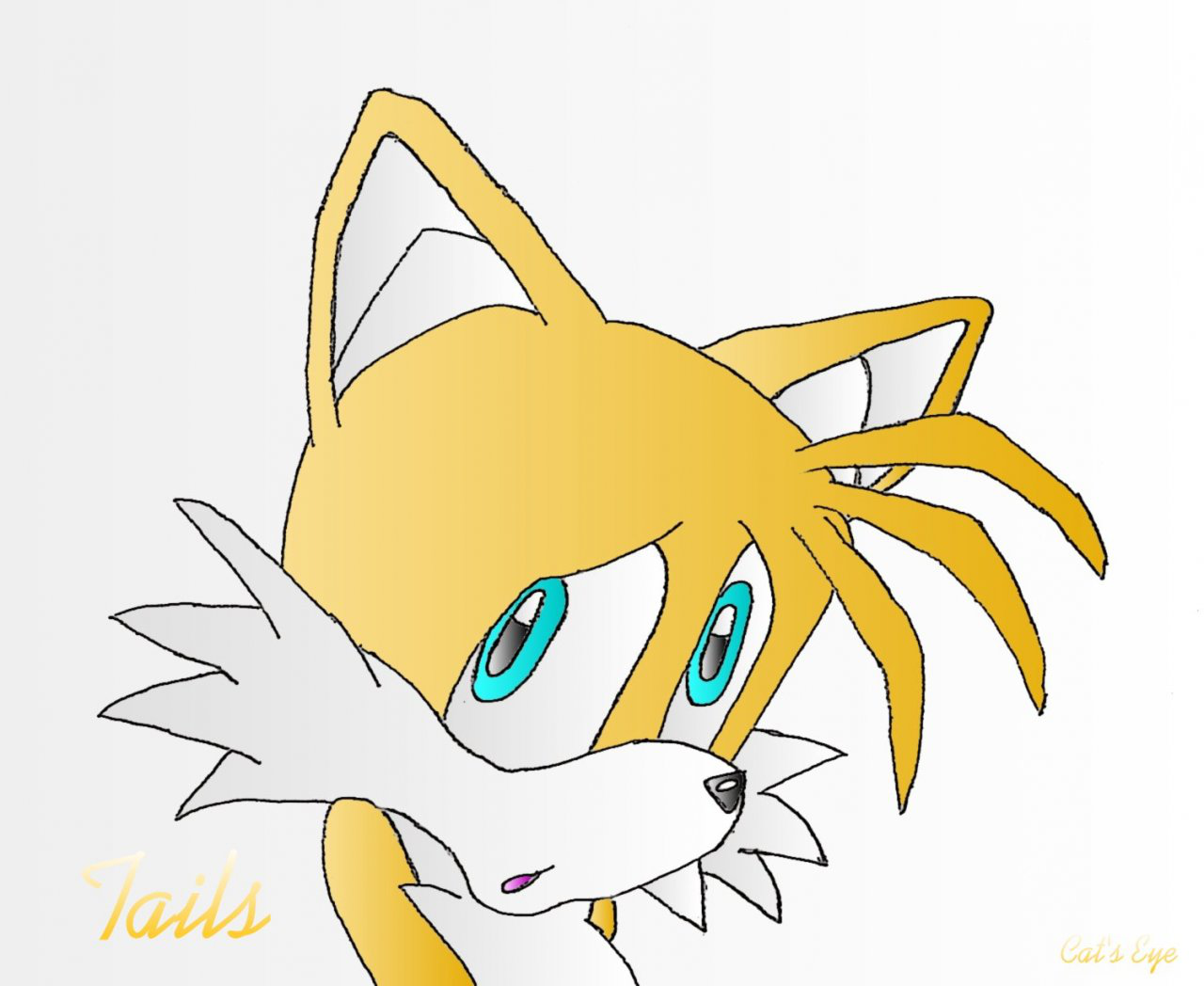 Tails.Kicks-Ass.Net